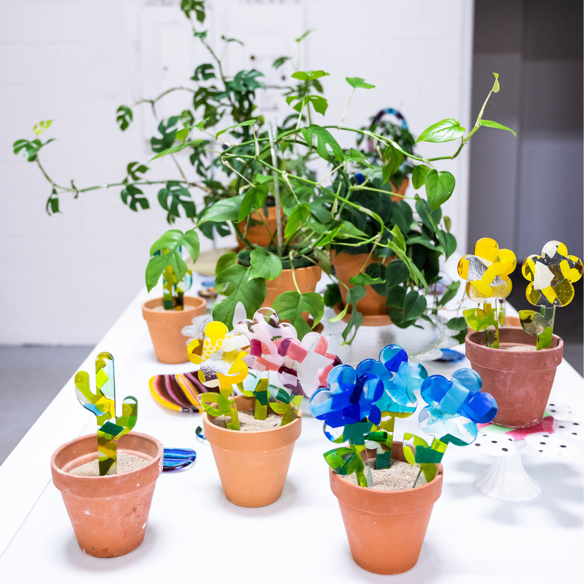 Brazee Shop – Brazee Glass Design